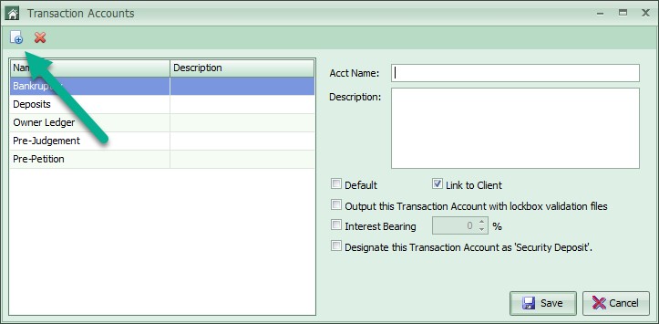 Transaction Accounts (Ledgers)